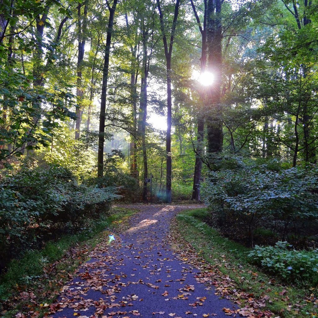 Parks and Pathways – Fairwood Community