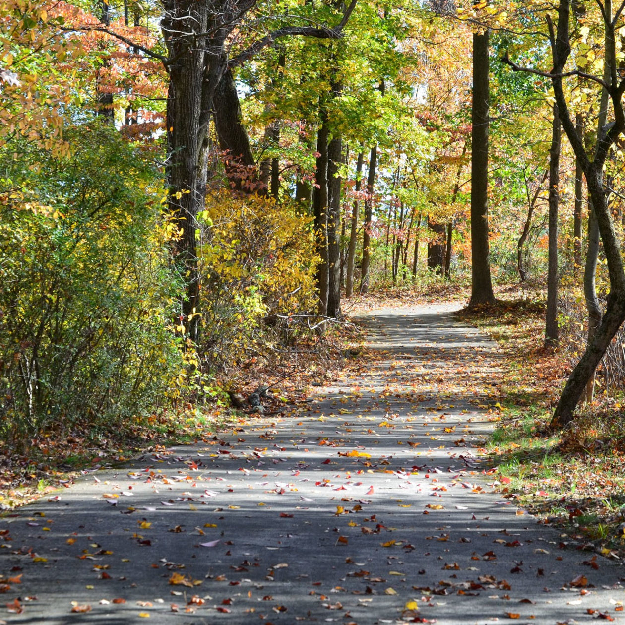 Parks and Pathways – Fairwood Community